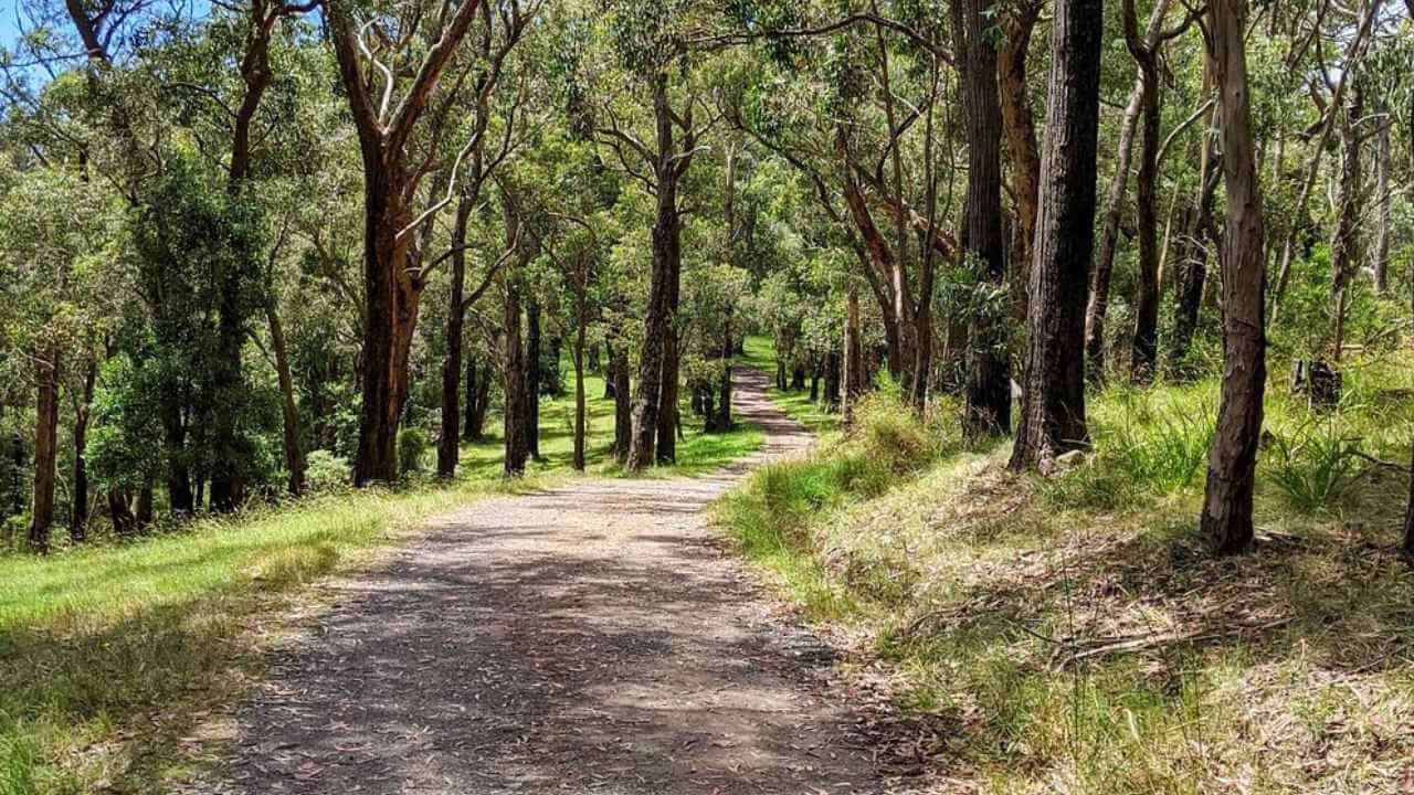 Top 15 Things to Do in Melbourne, Victoria